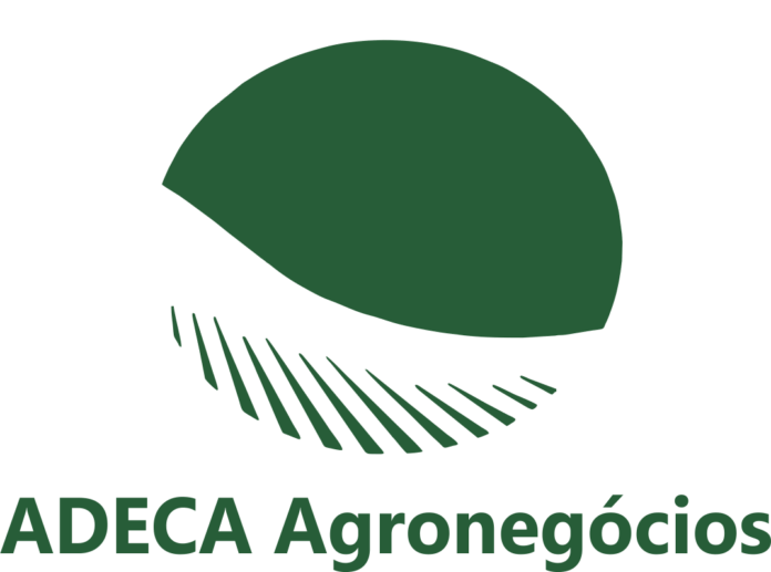 Fluxo de caixa: entenda o que é e quais os itens envolvidos - Agromove